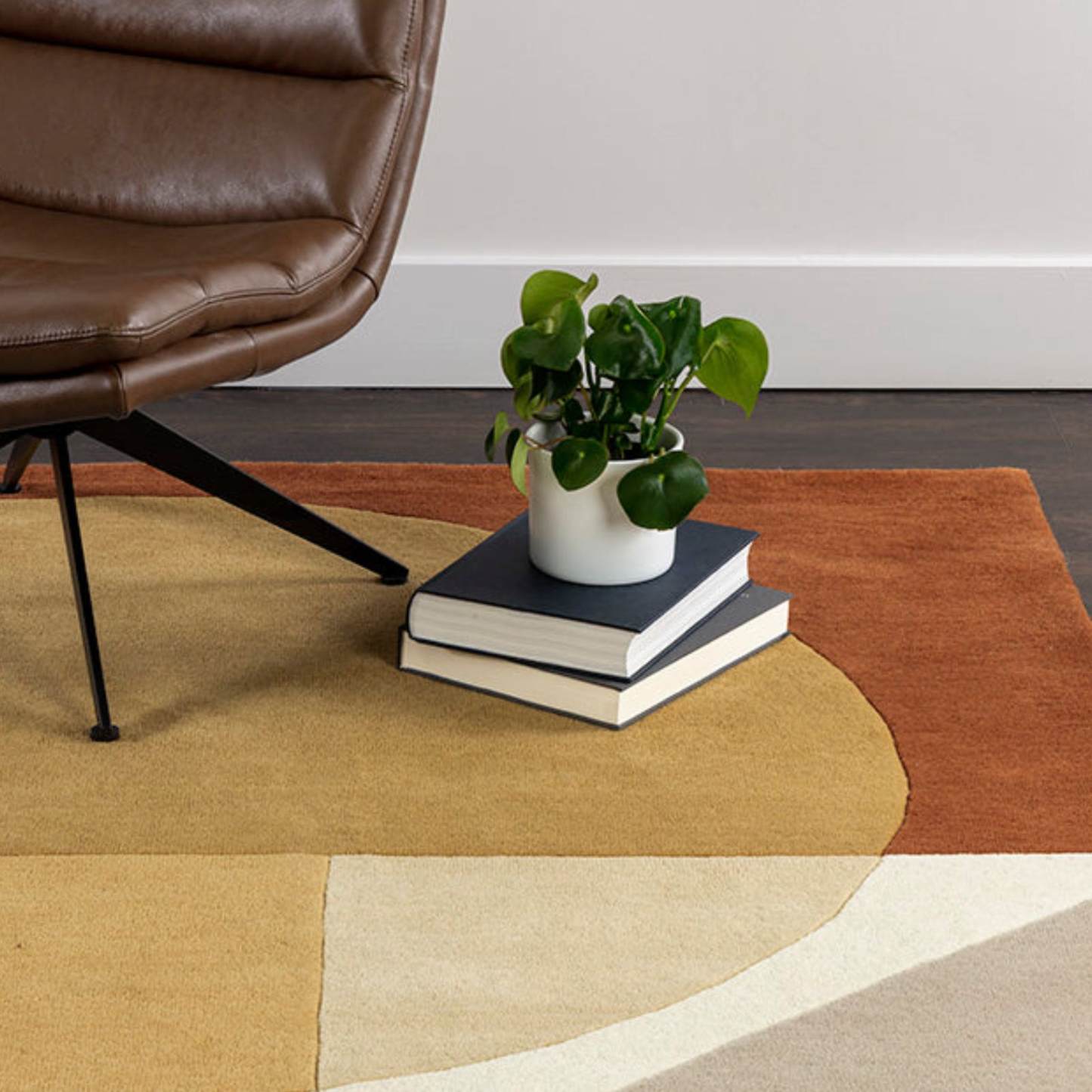 Area Rugs Collection | Stonewaters