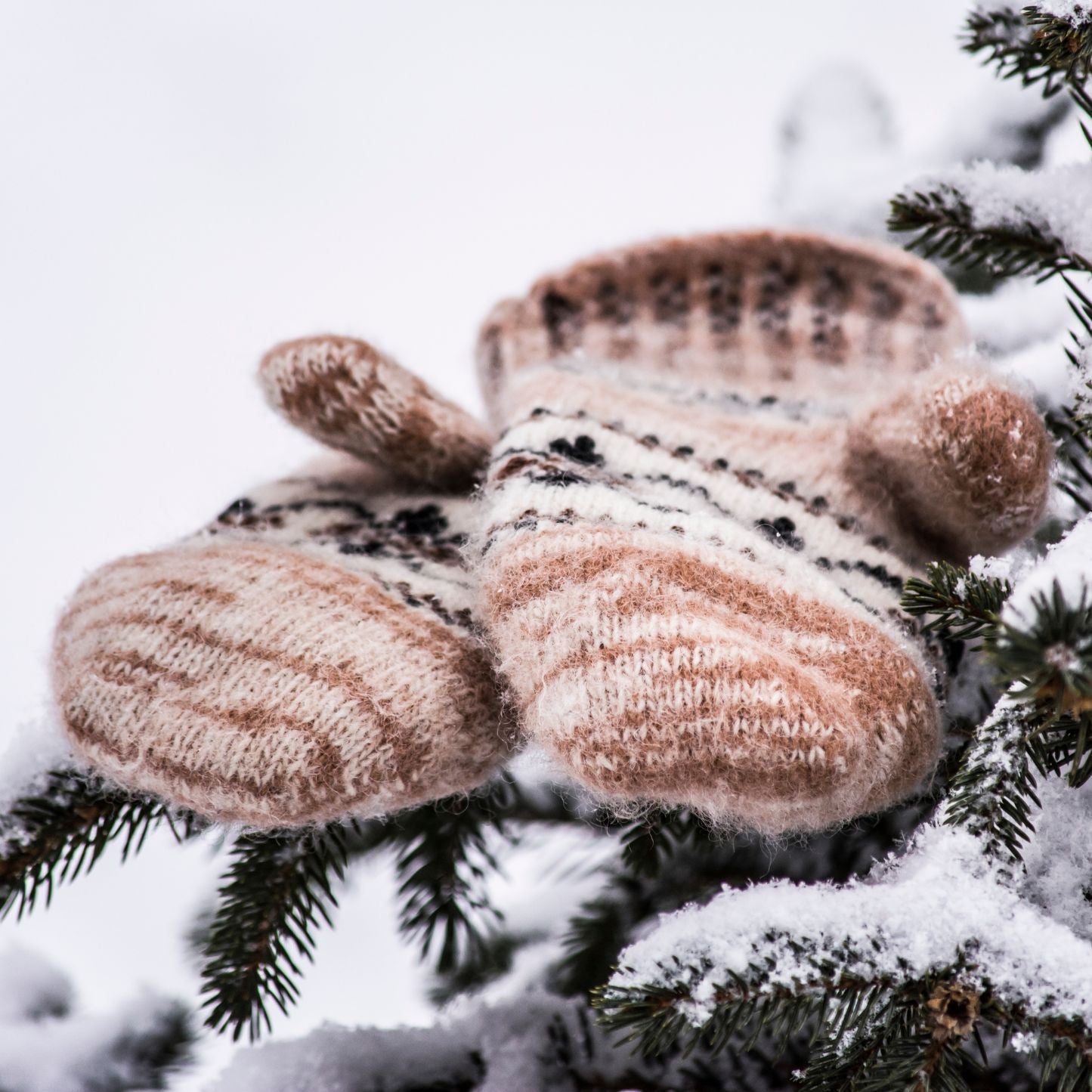Mittens | Stonewaters