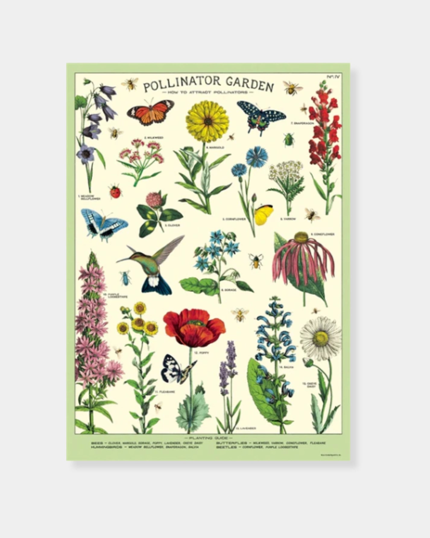 POLLINATOR GARDEN - POSTER | Stonewaters