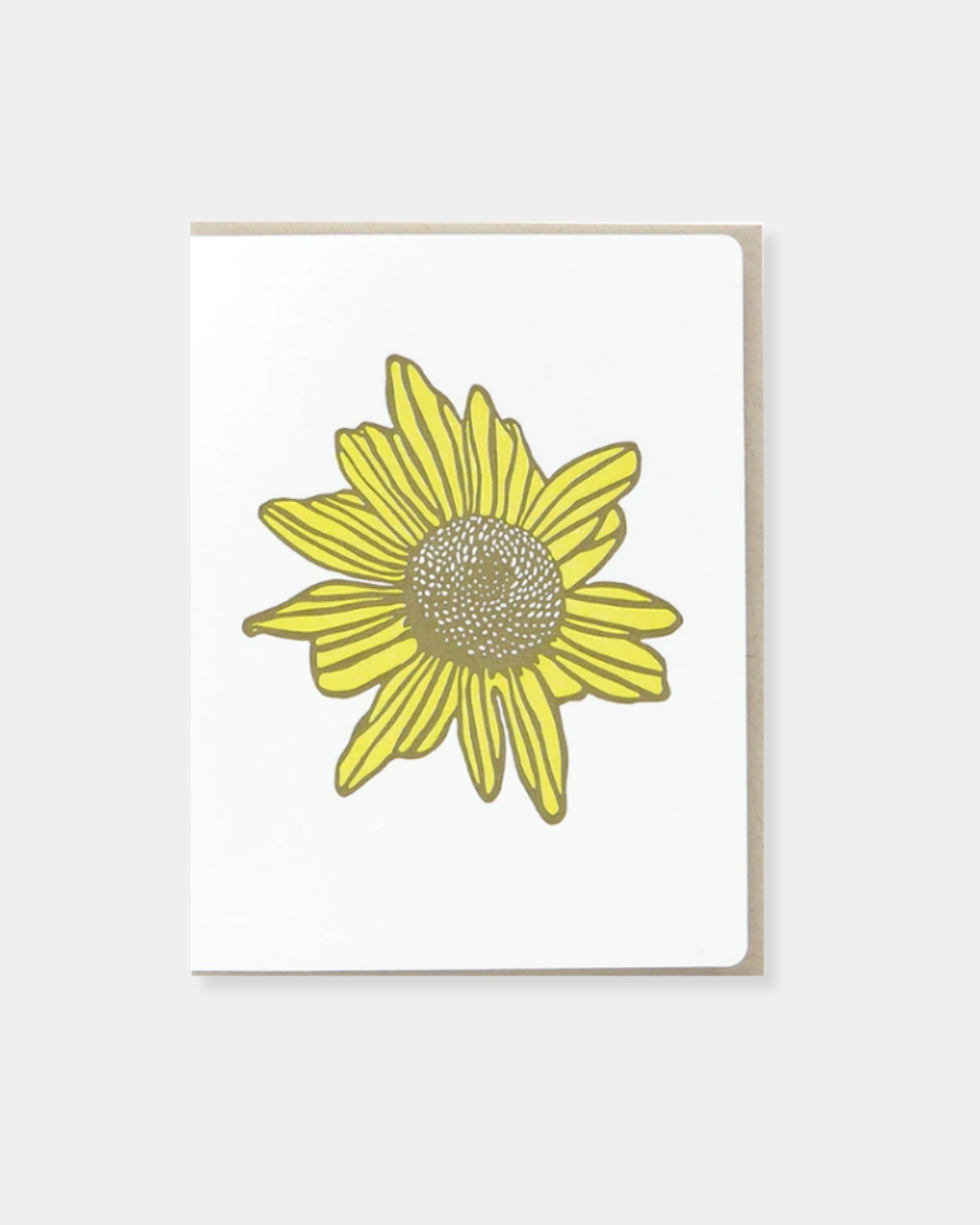 CONEFLOWER - CARD – Stonewaters